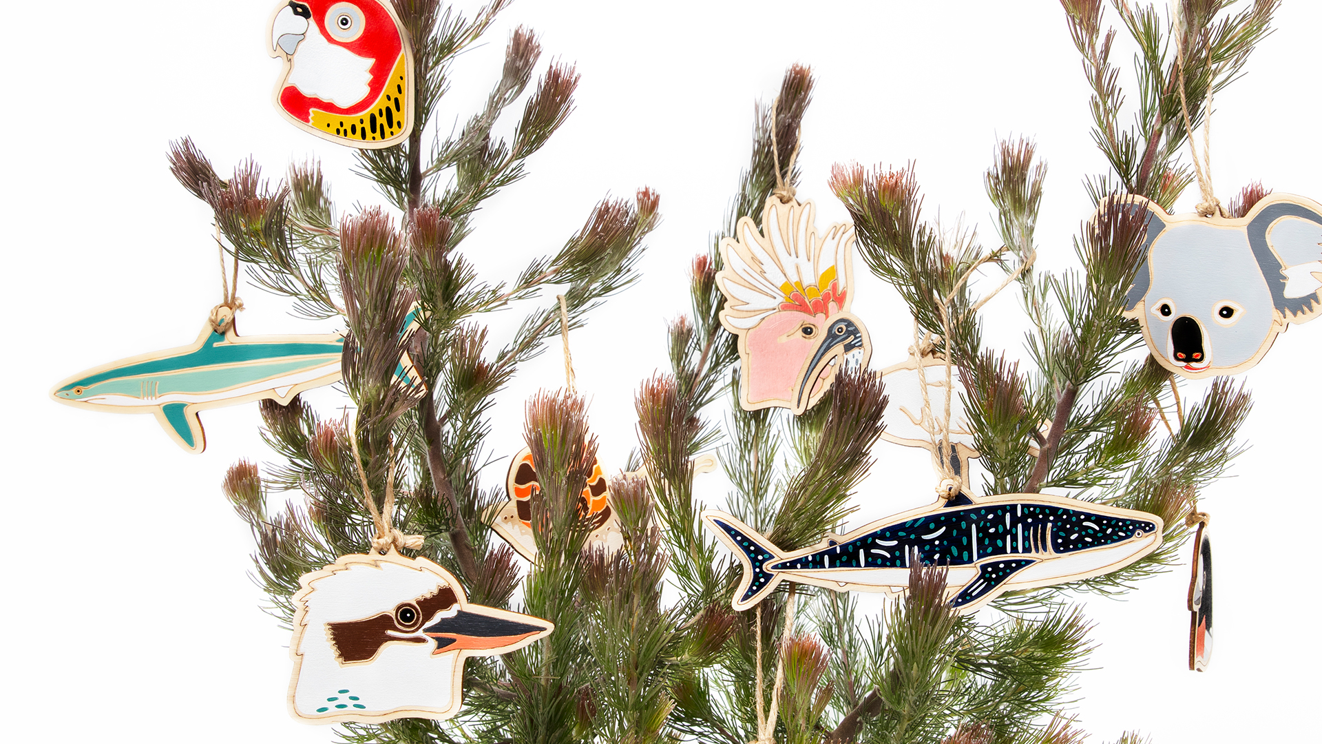 Object Shop - Australian Design Centre