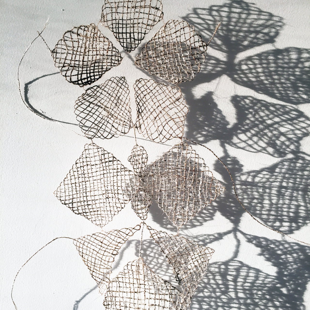 Ilka White - Australian Design Centre