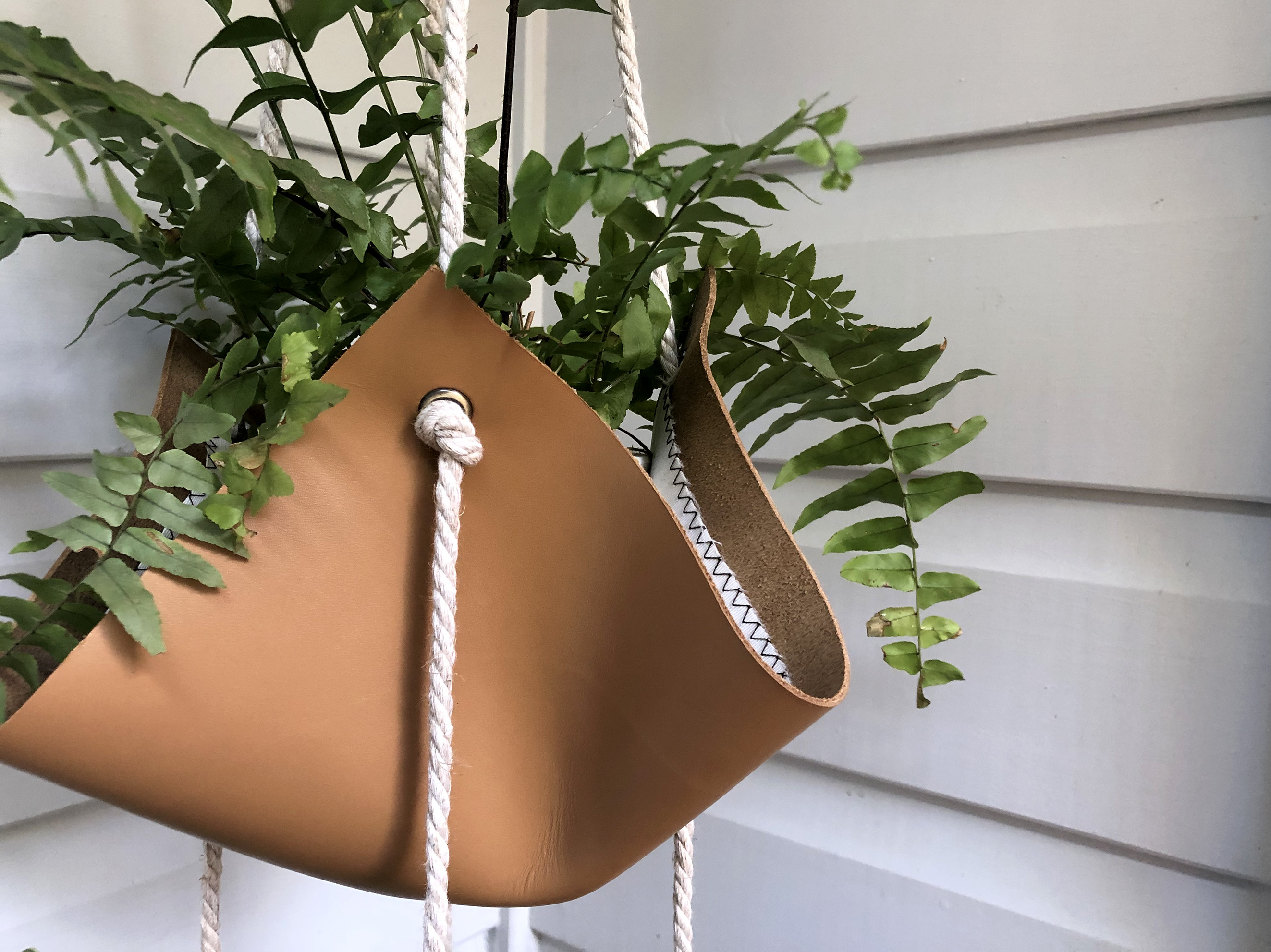 Fiona Booth's Instagram, Twitter & Facebook on IDCrawl